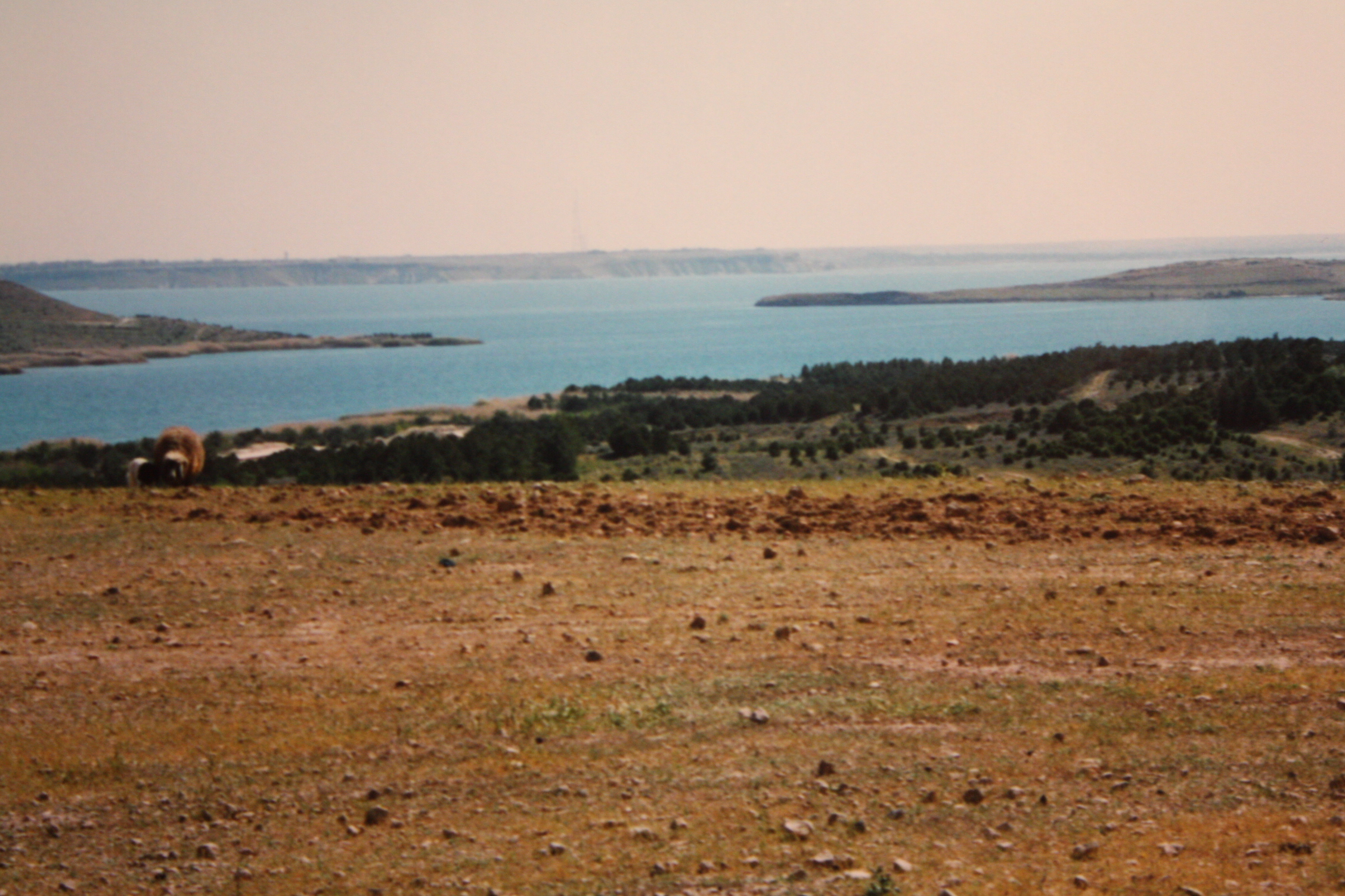Tabqa Dam Reservoir / Lake Assad