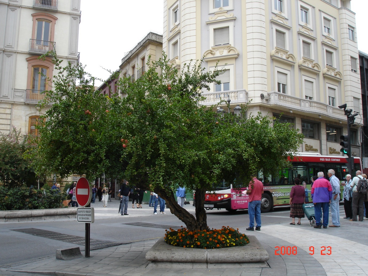 Puerta Real de España - Granada (Español)