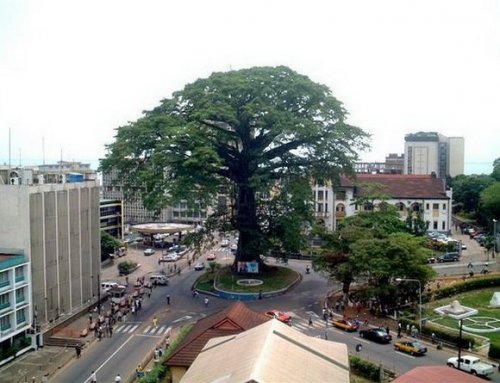 Cotton Tree - Freetown