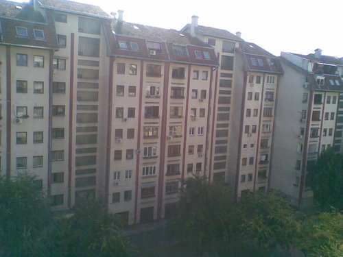 Detelinara - Novi Sad