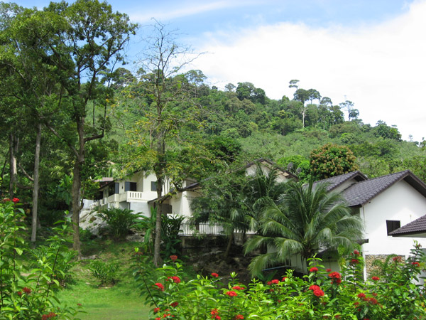 P.S Hill Resort