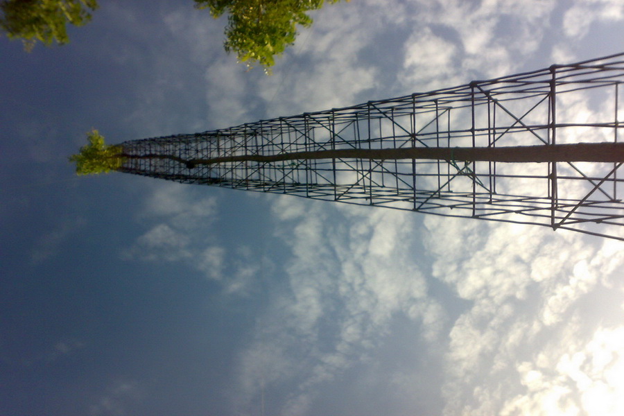 World Wonder Tallest Neem Tree In Melur Madurai INDIA