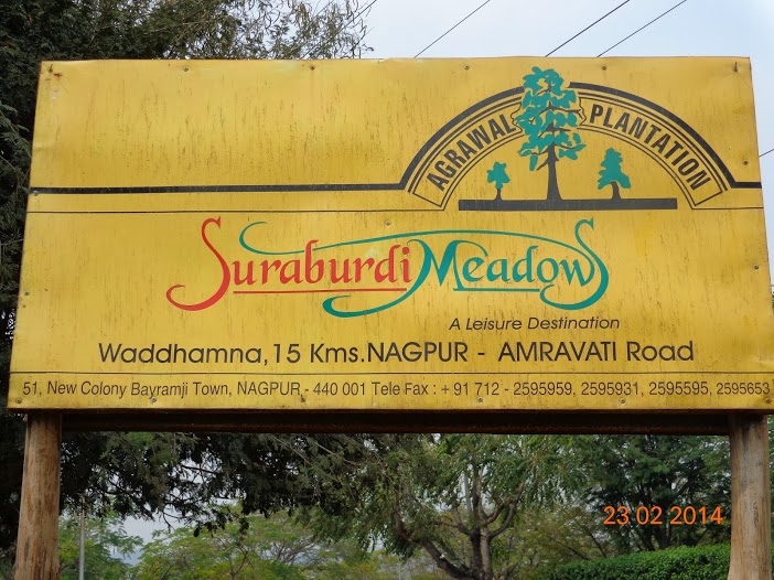 Surabardi Meadows