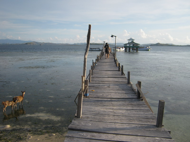 Kanawa Island | seaside resort