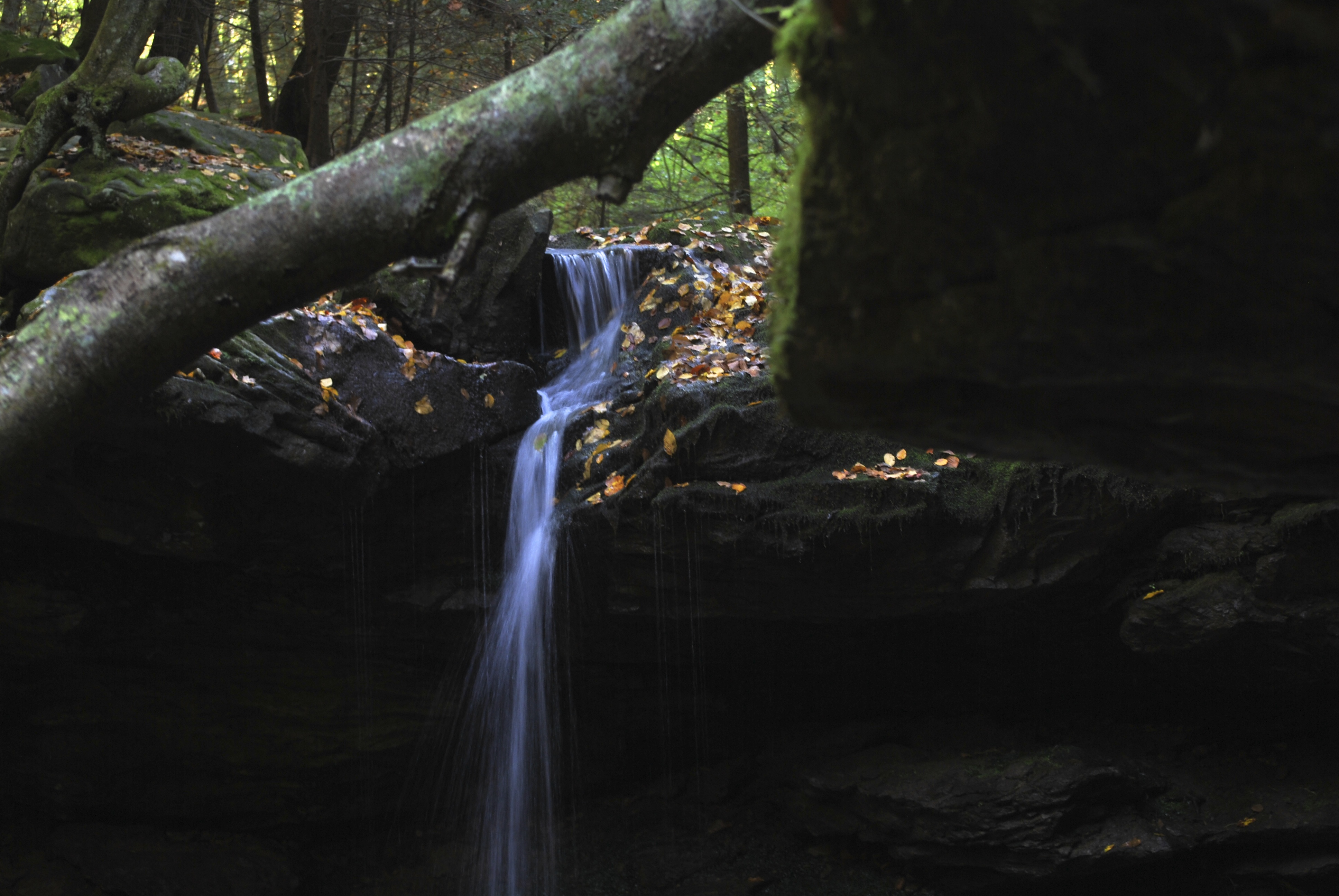 Frozen Head State Park