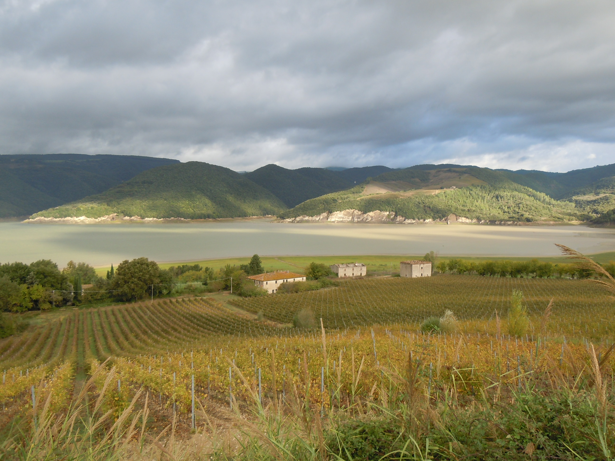 Pitch panoramic lake Corbara