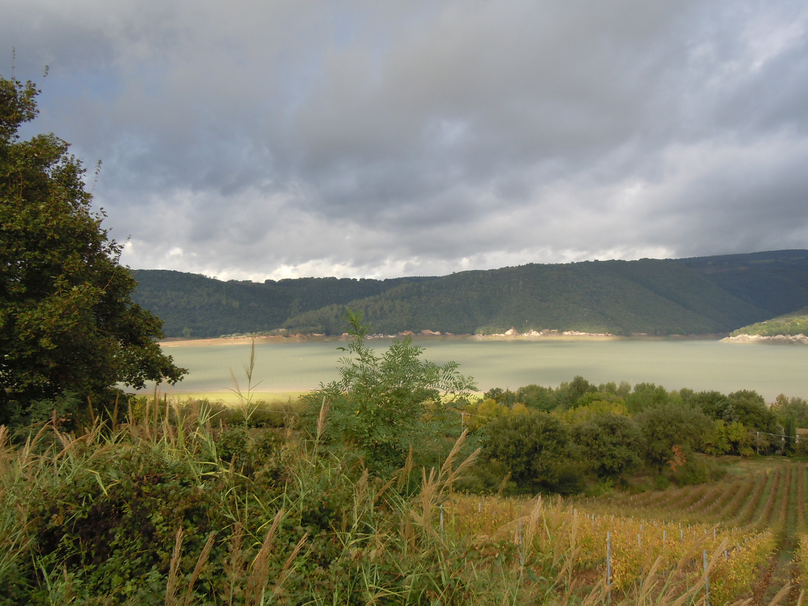 Pitch panoramic lake Corbara