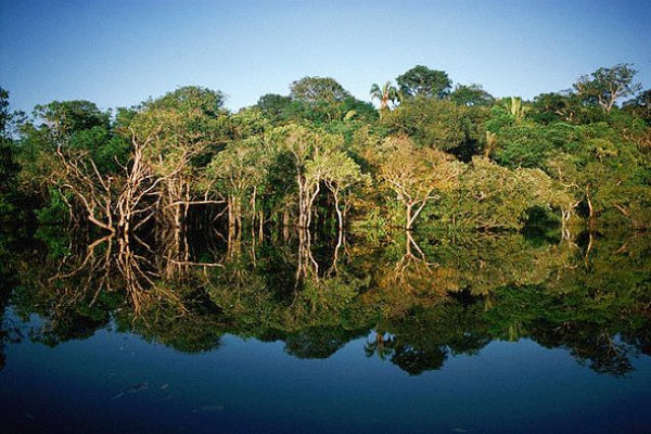Parque Nacional de la Amazonia | Espacio natural protegido, área verde