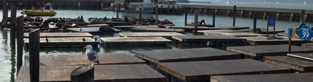 Chart House - San Francisco, California | restaurant