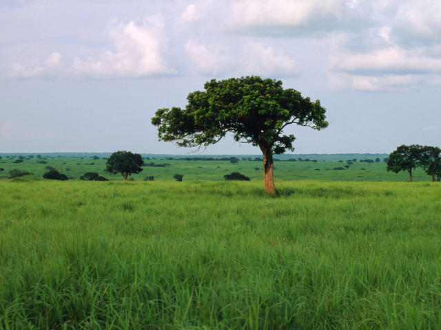 Garamba National Park | UNESCO World Heritage Site