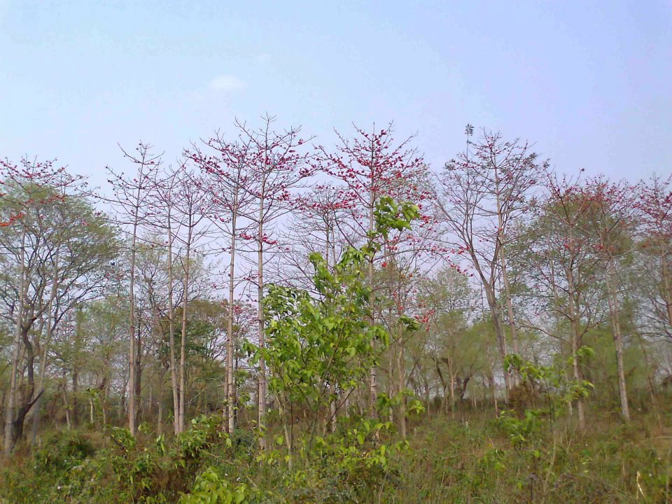 Molai Kathoni