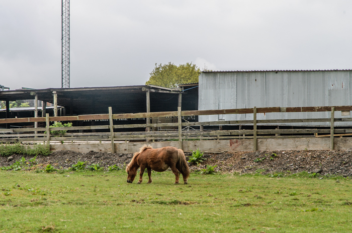 Quarry Bridge Farm