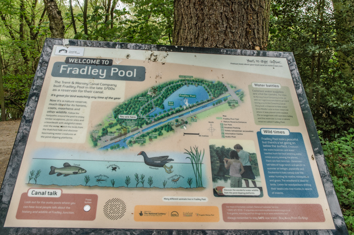 Fradley pool nature reserve