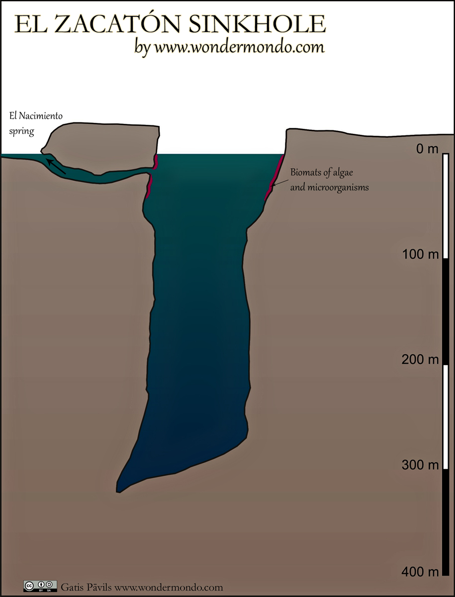 Cenote El Zacatón
