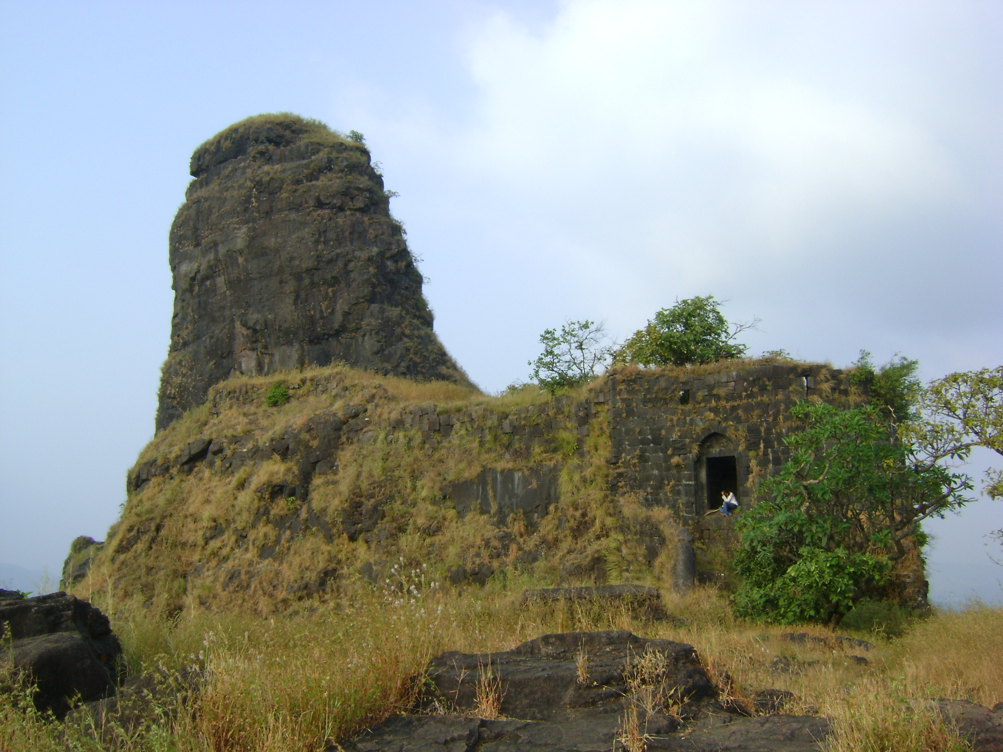 Karnala Fort