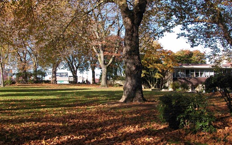 Denny Park - Seattle, Washington