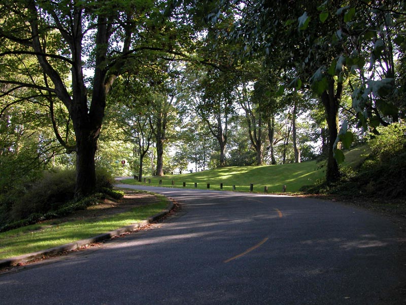 Frink Park - Seattle, Washington