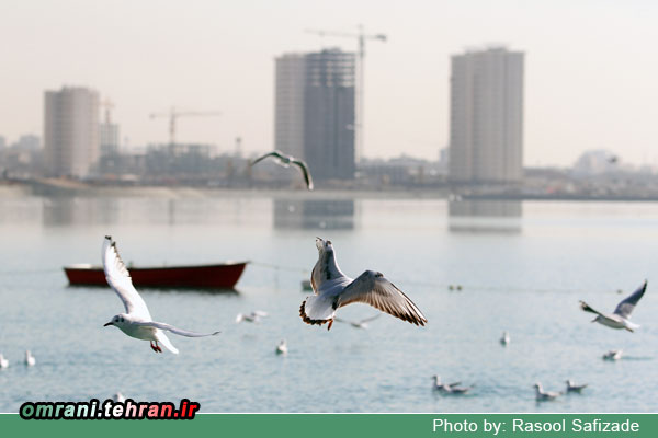 Chitgar Lake - Tehran