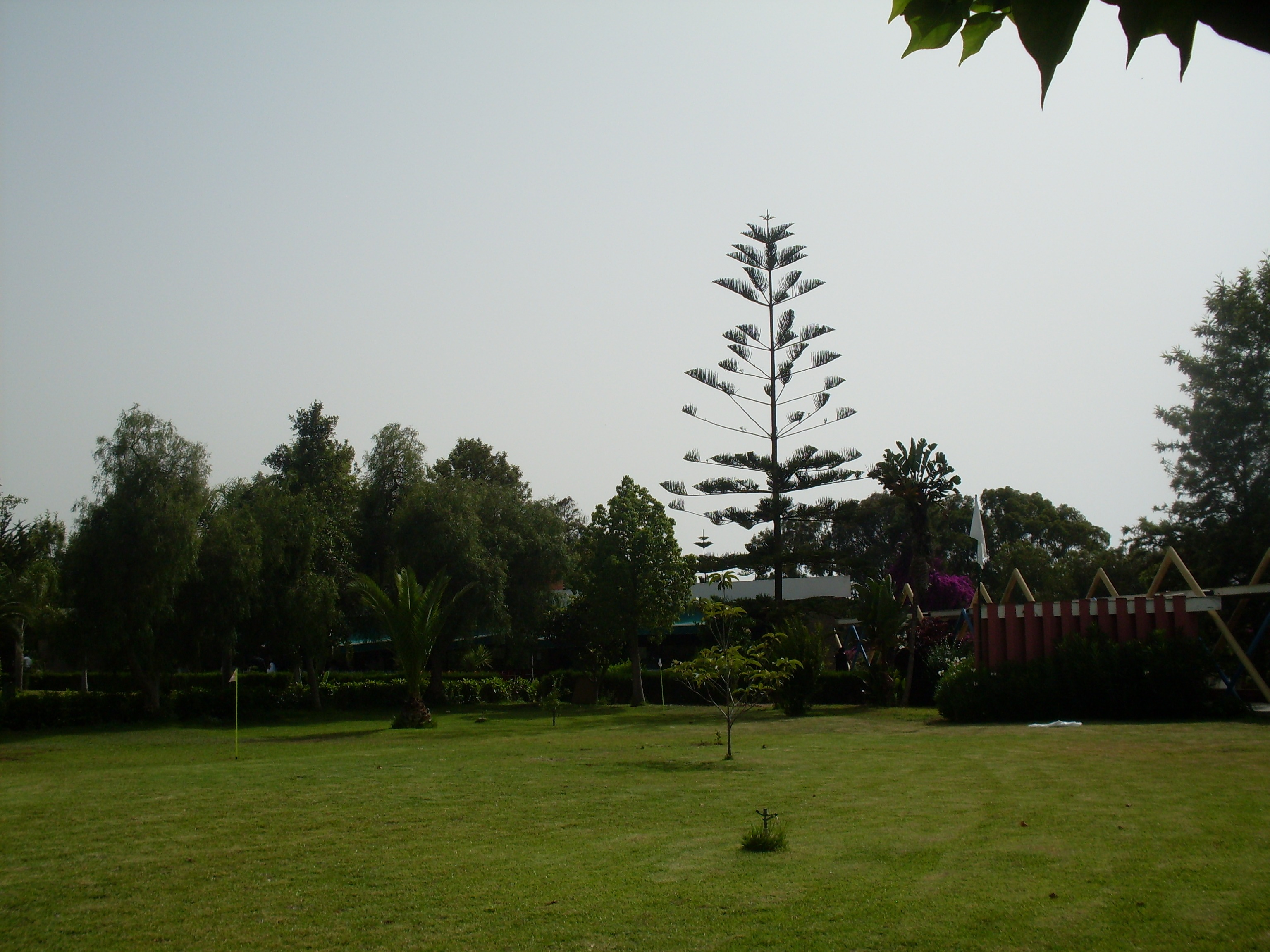 Club du Ministère de l'Agriculture - Rabat