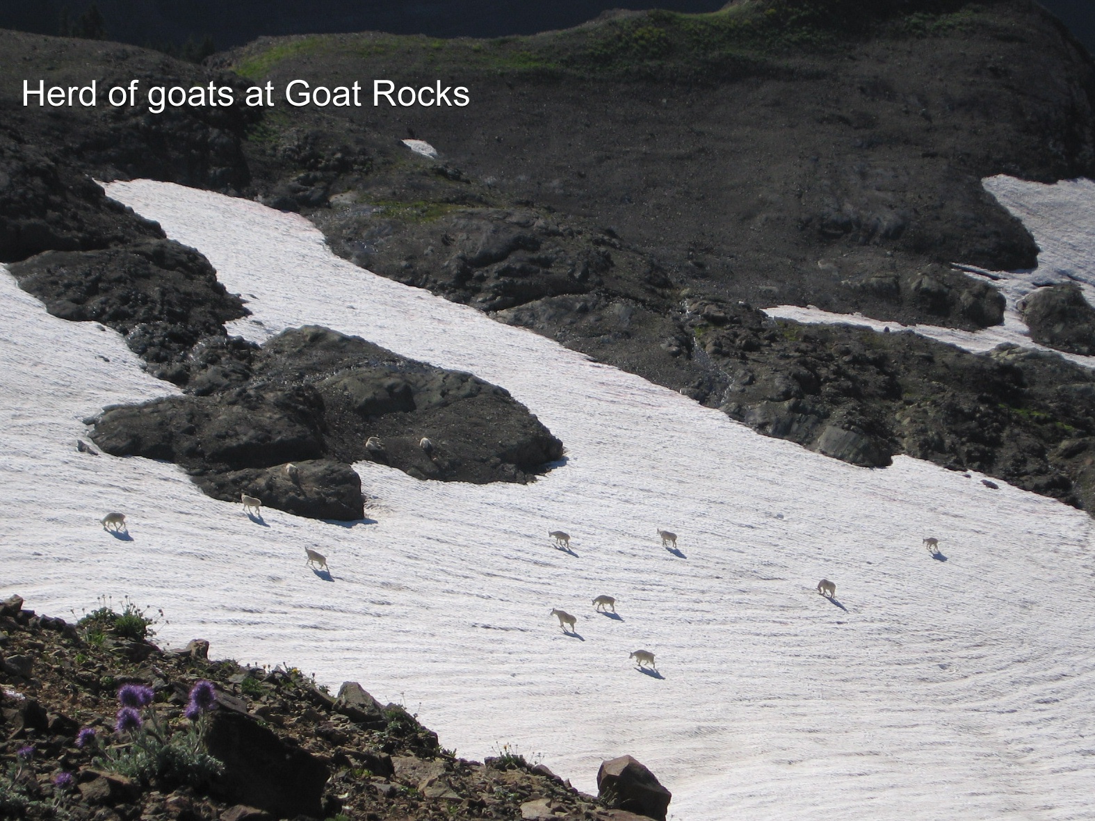 Goat Rocks