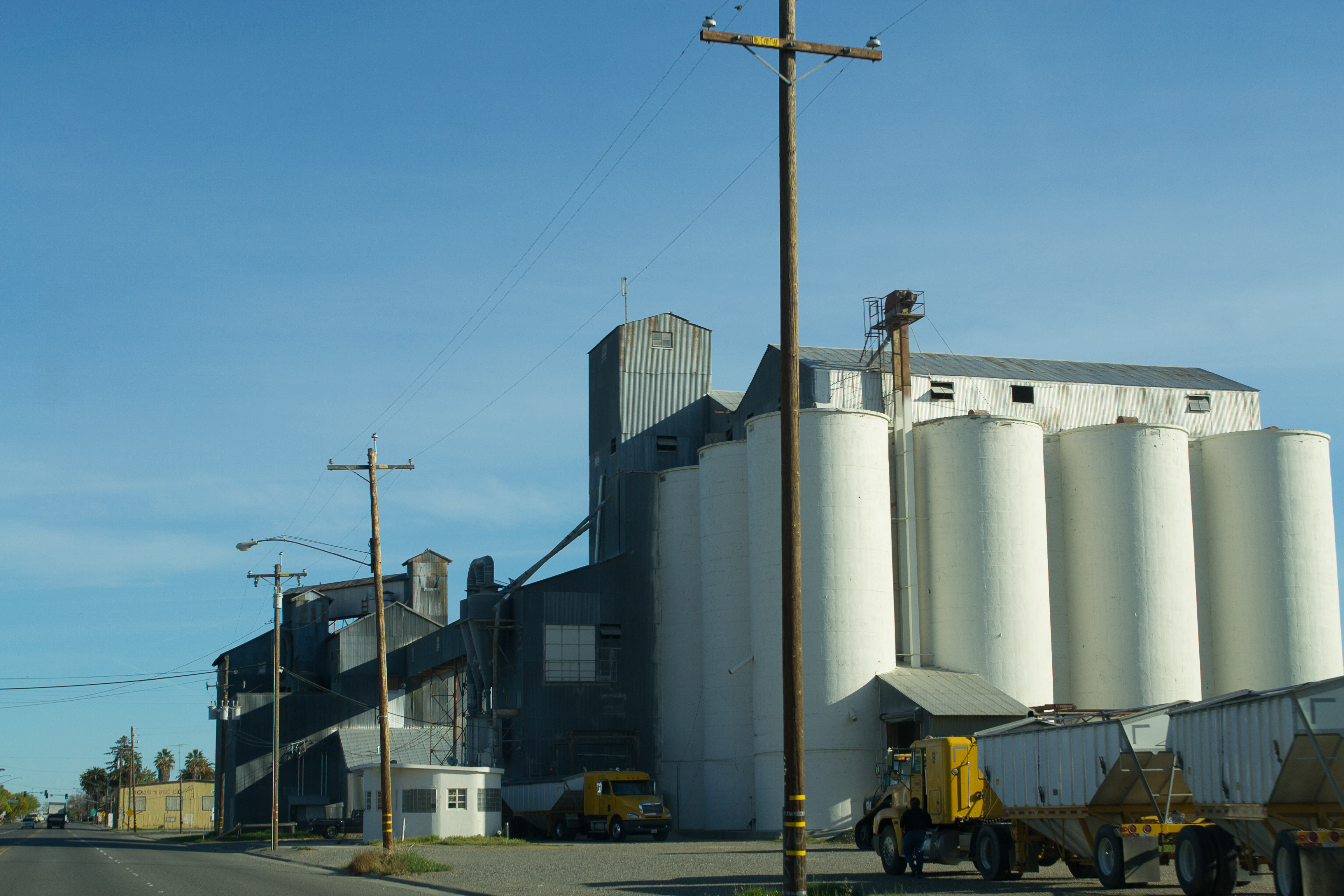 Willows, California
