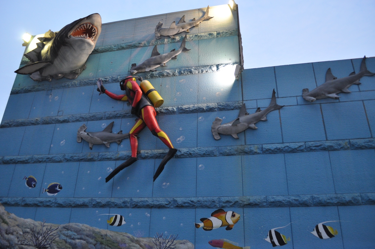Busan Aquarium