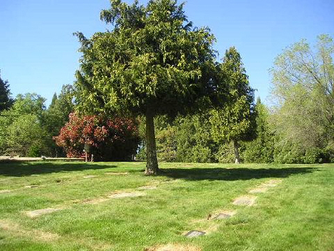 Elm Ridge Cemetery - Grass Valley, California