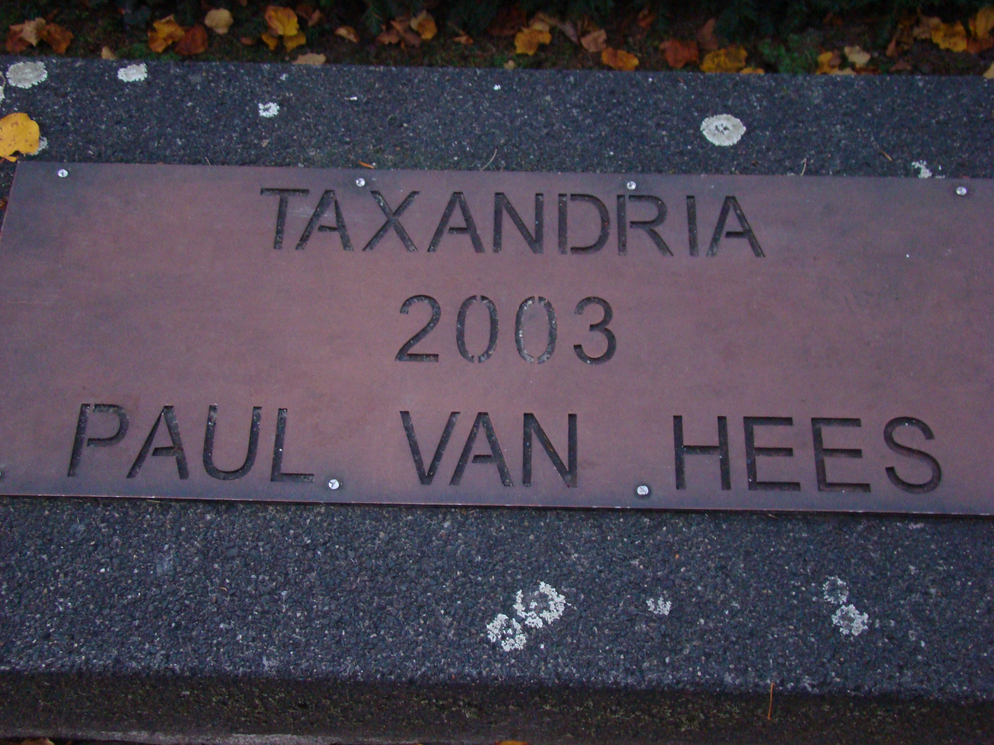Taxandria - Turnhout | sculpture, artwork