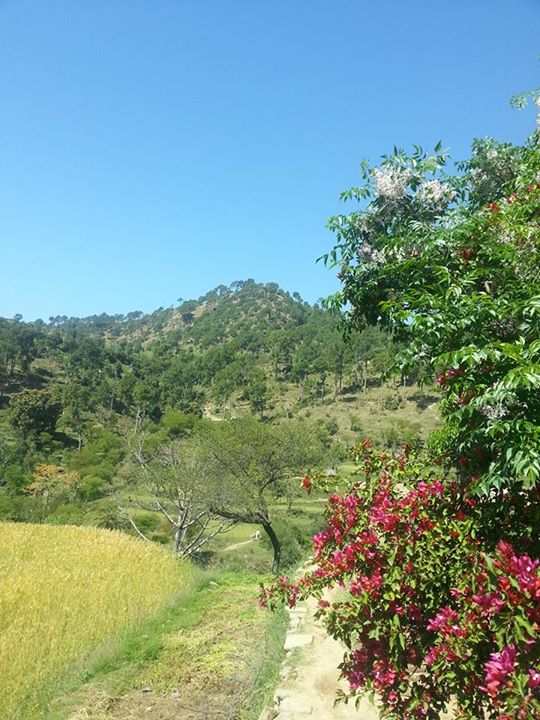 CH. M ASHRAF HOUSE - Rehial