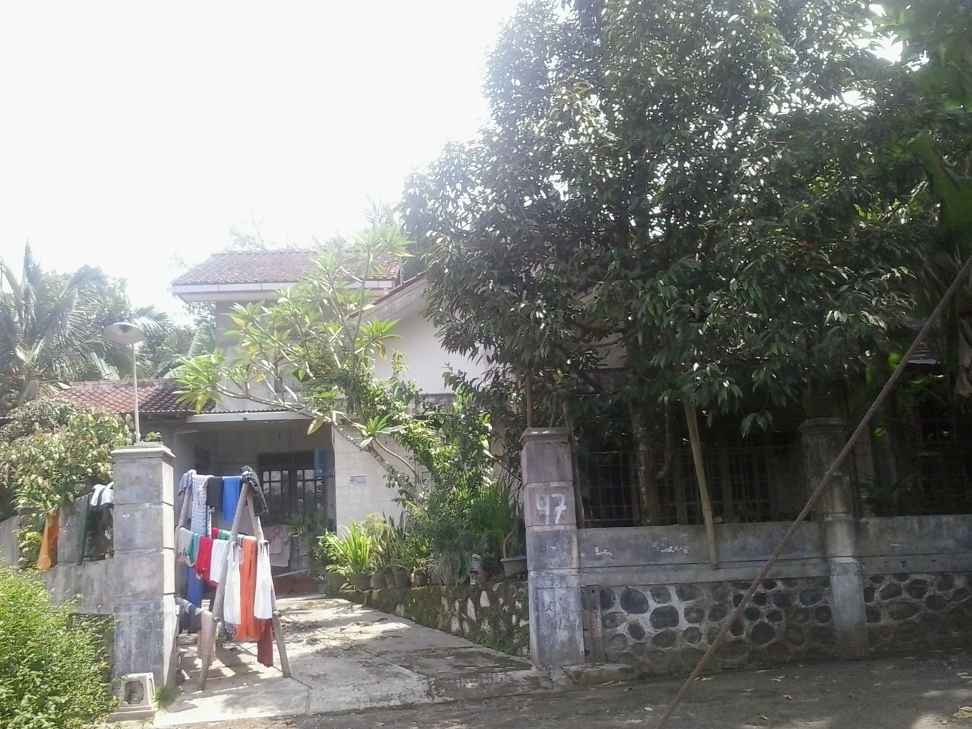 Arimbi No.47 - Banyumas