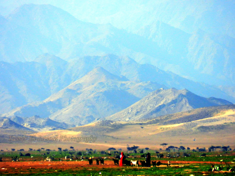 Hala'ib