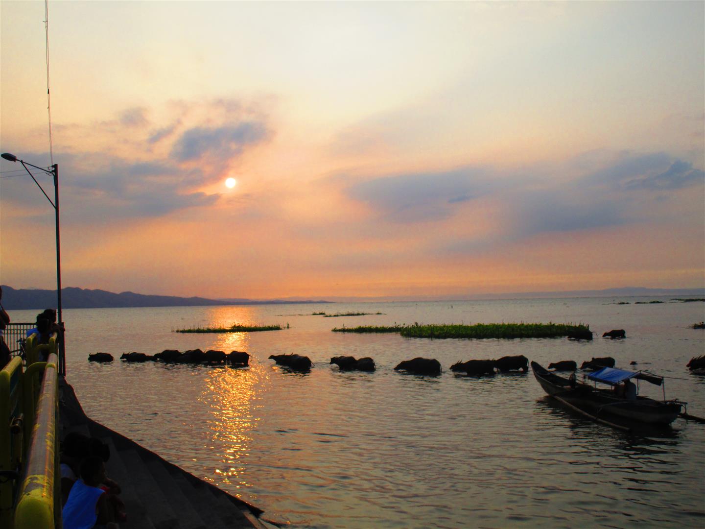 Fishing Port - Cabuyao