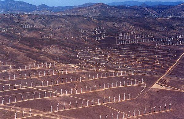 Tehachapi Wind Farm