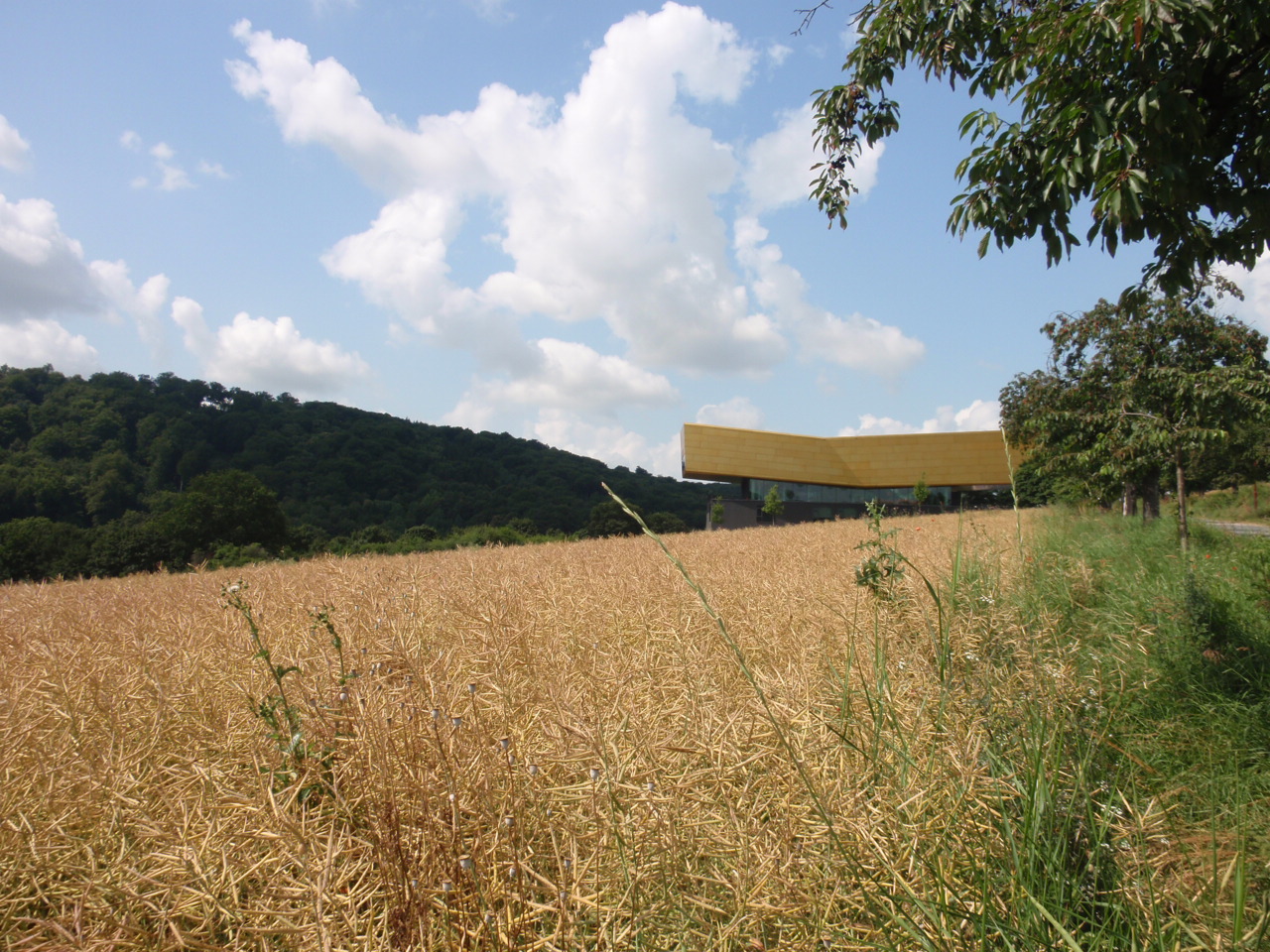 Besucherzentrum Arche Nebra - Wangen (Nebra)