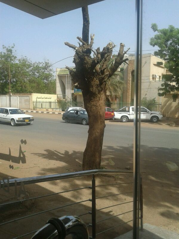 Al Borg Medical laboratories - Khartoum