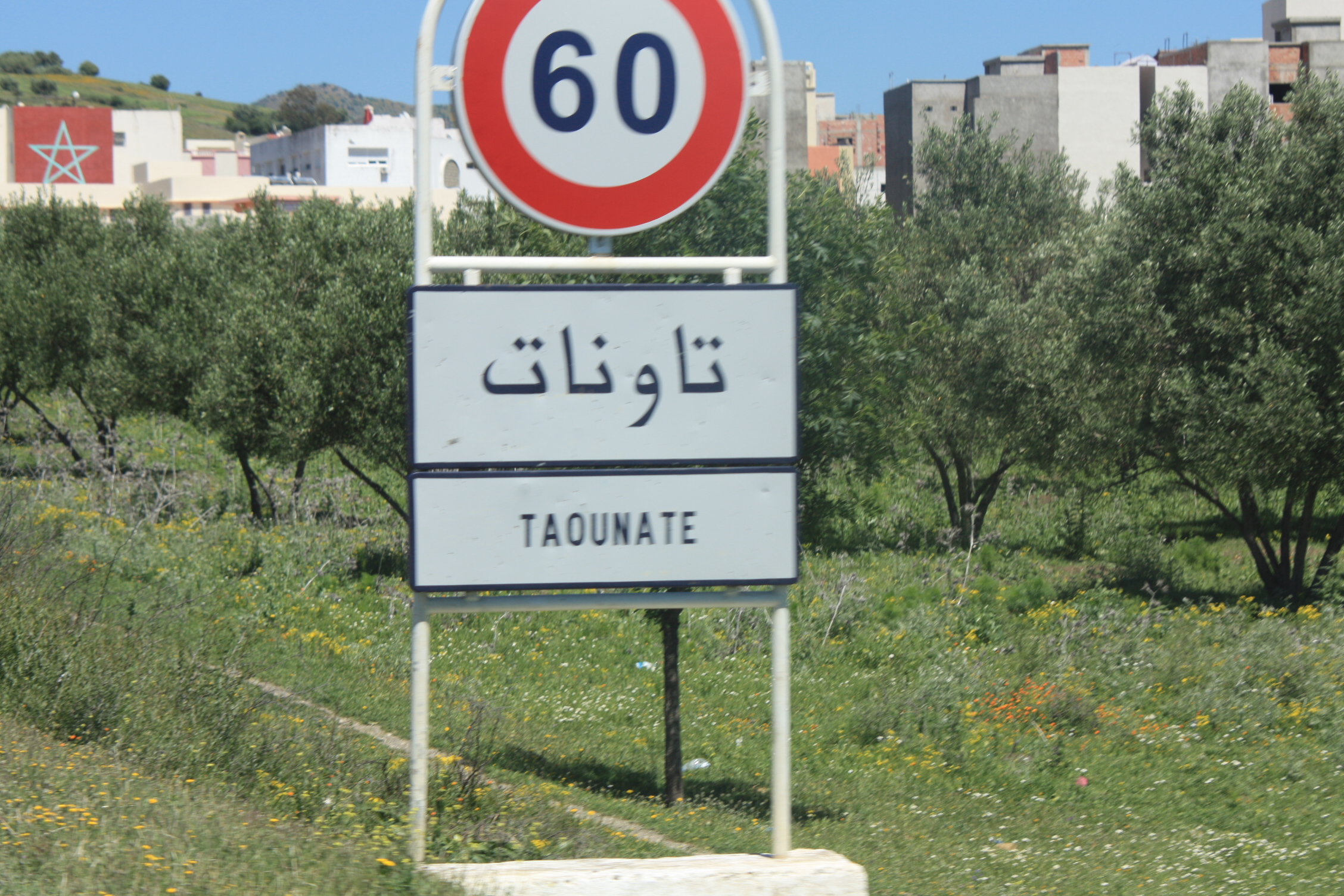 TAOUNATE