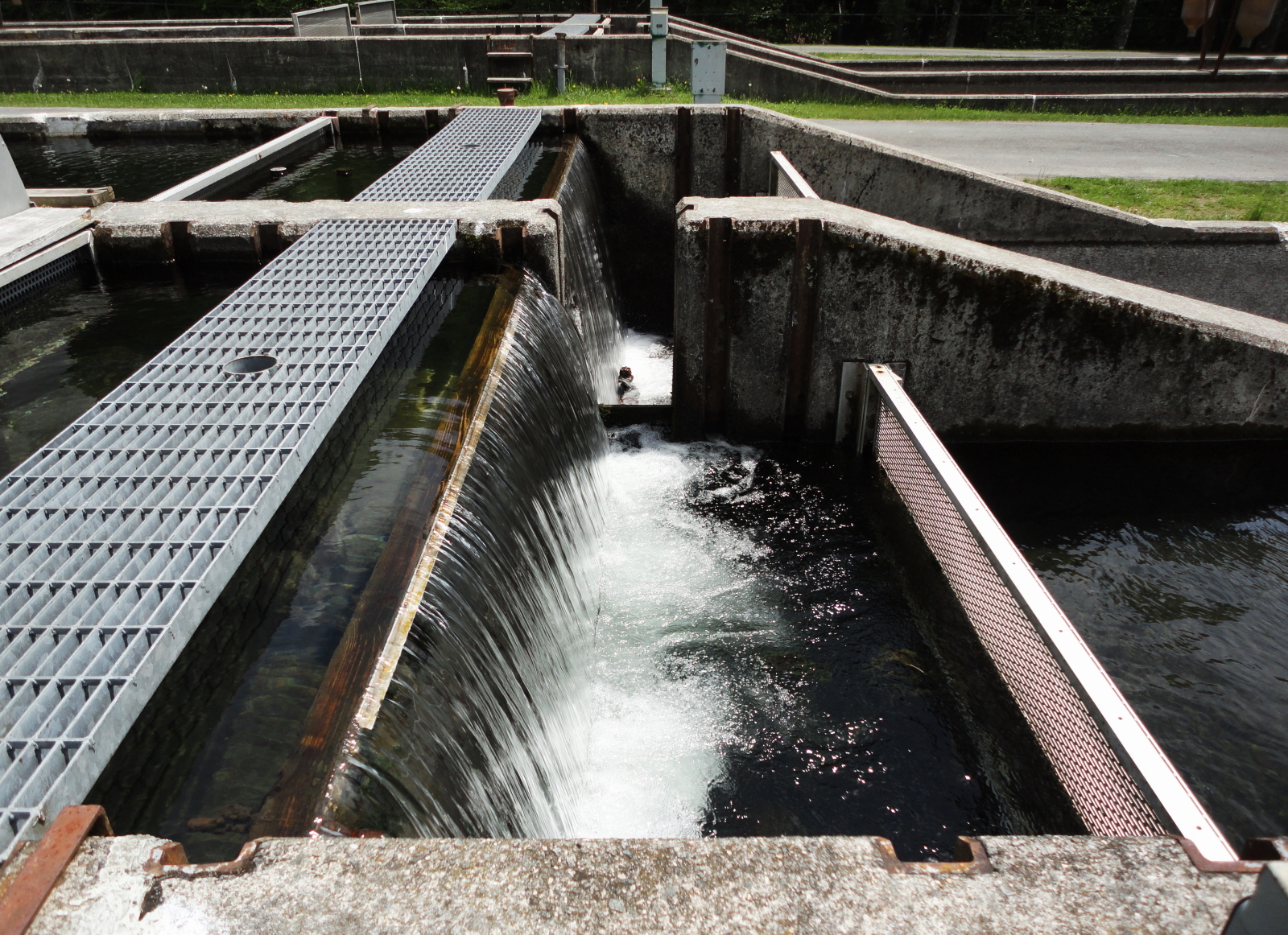 Catskill Fish Hatchery