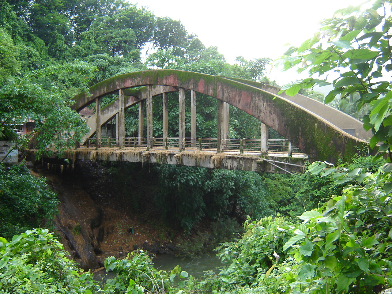Kootupuzha Bridge
