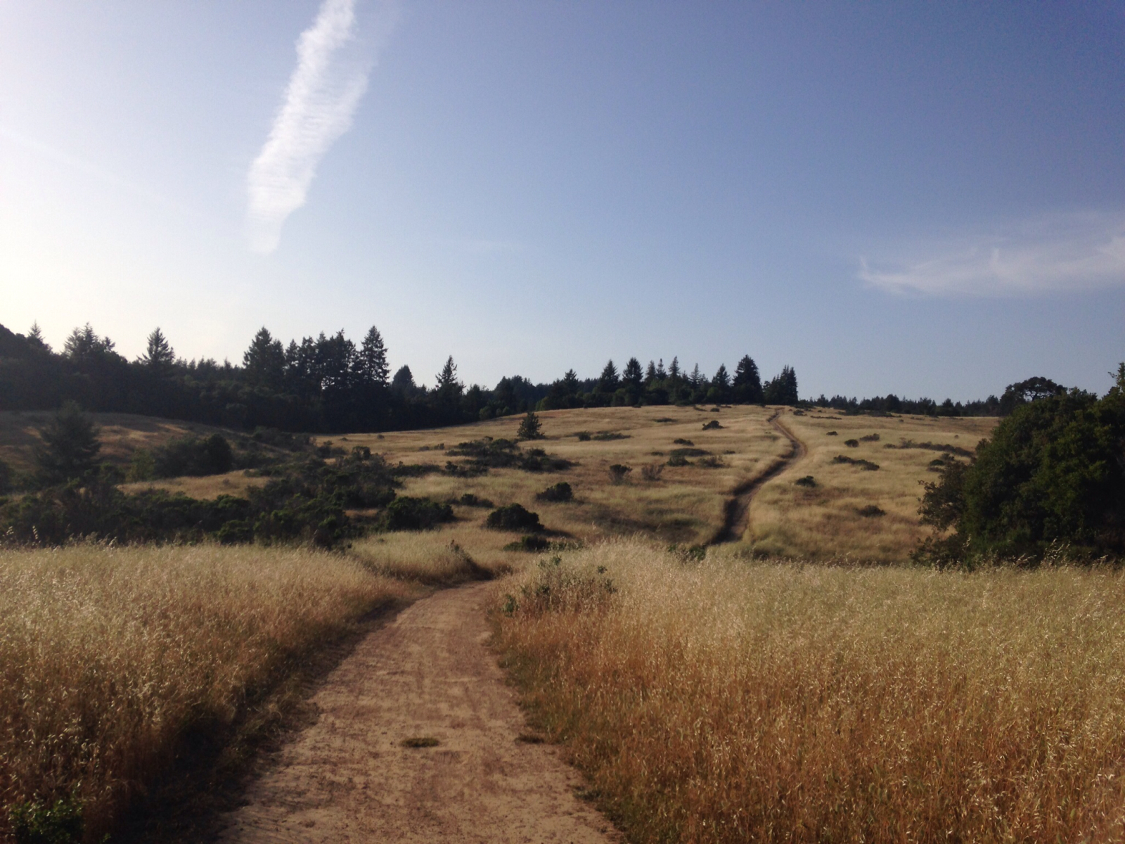 Wilder Ranch State Park