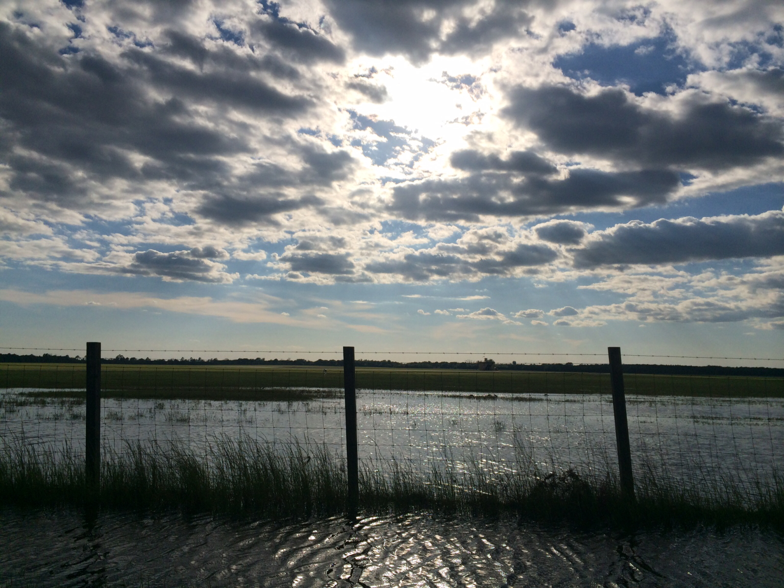 Naval Outlying Field (NOLF) Spencer