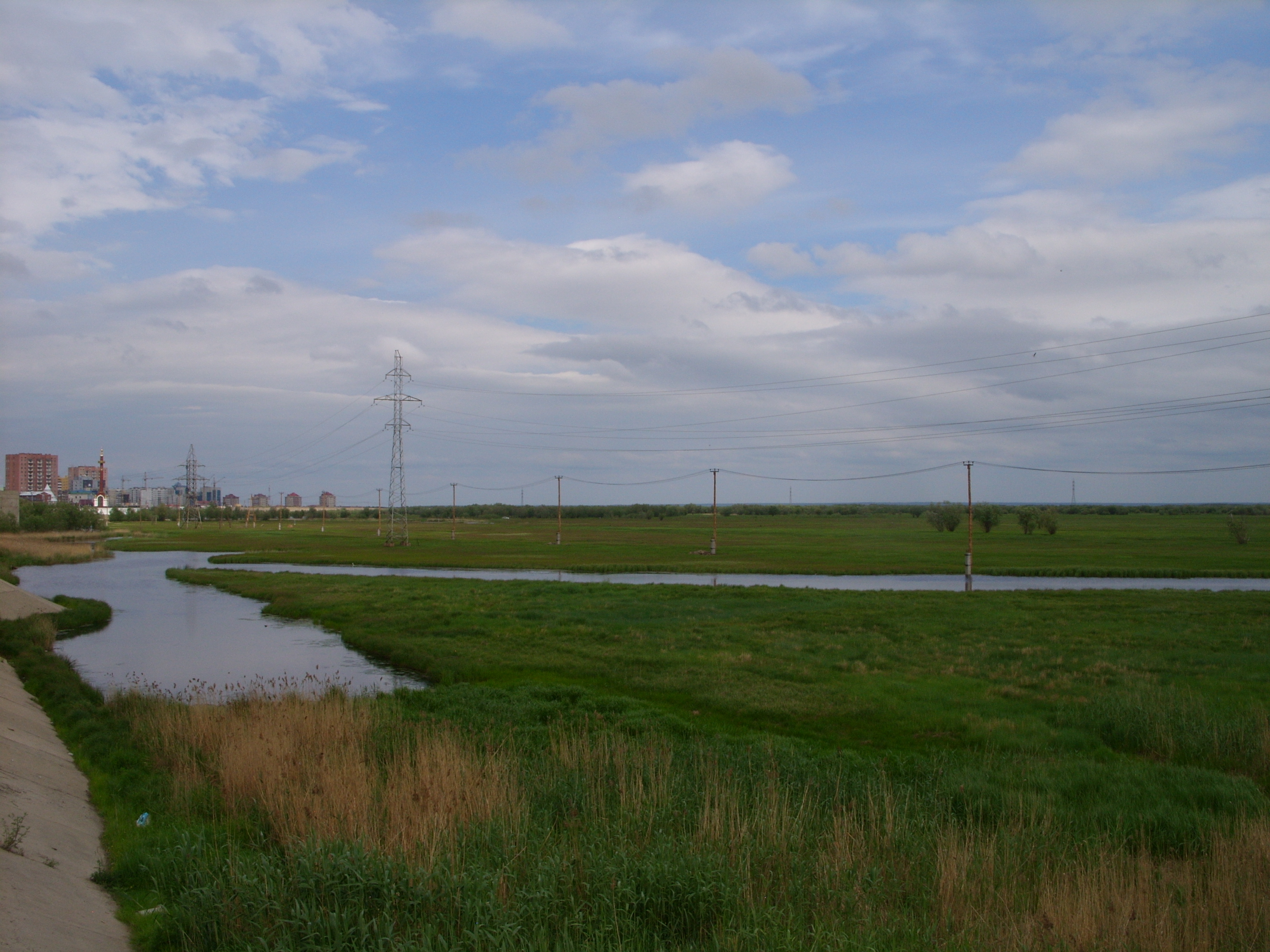 Green Meadow | valley, green area