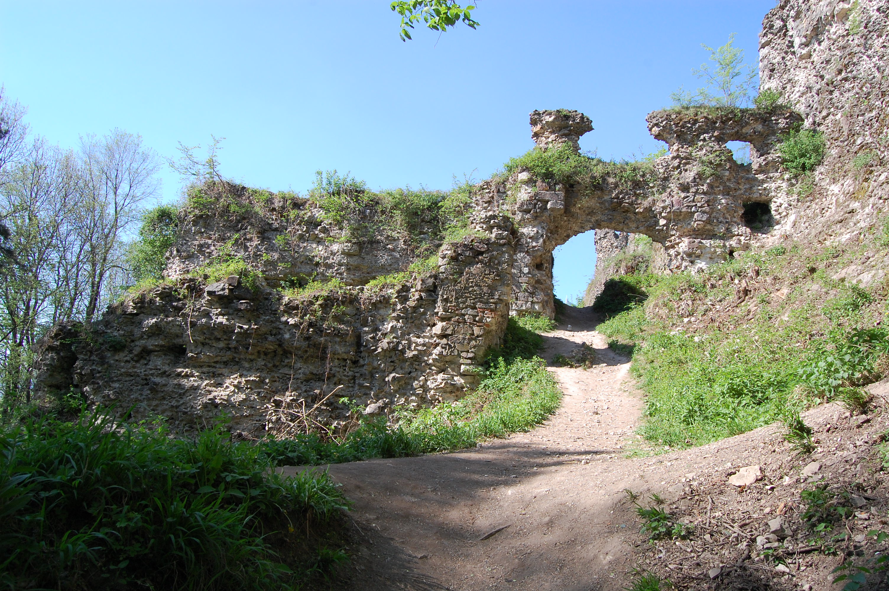 Huszti várrom - Huszt