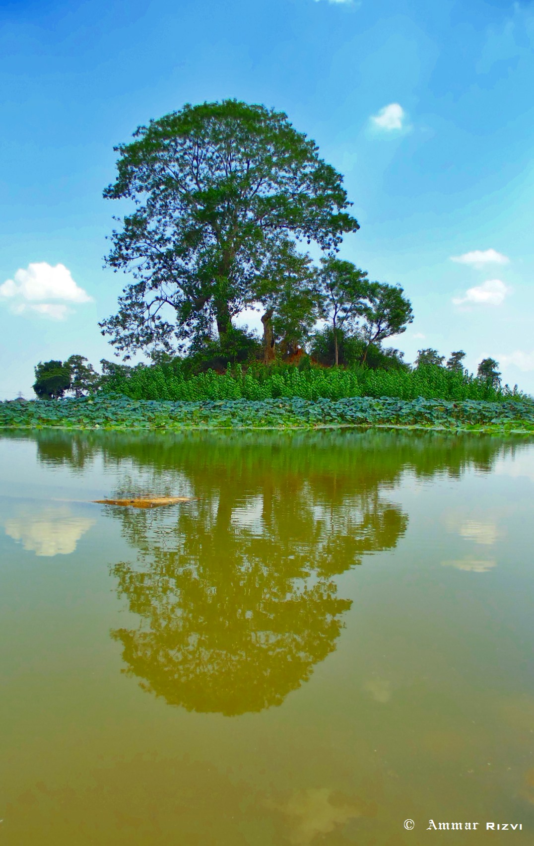 Moti Talab - Balaghat