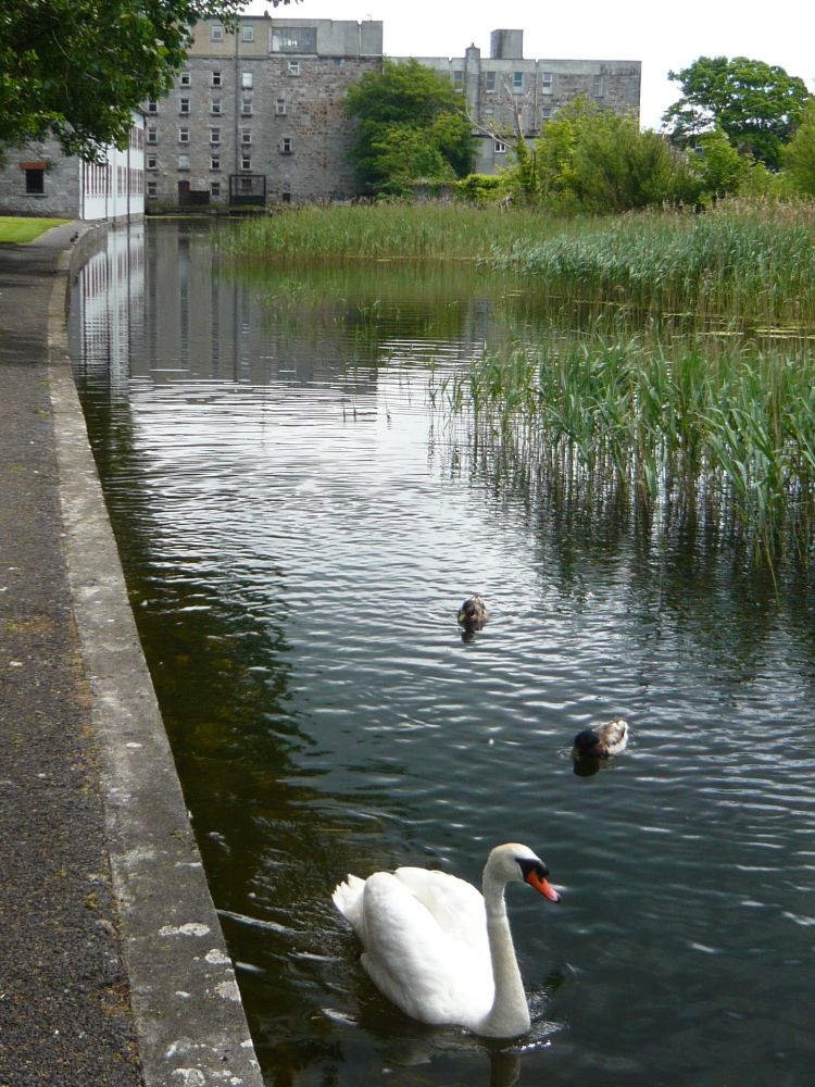NUIG Engineering buildings - Galway