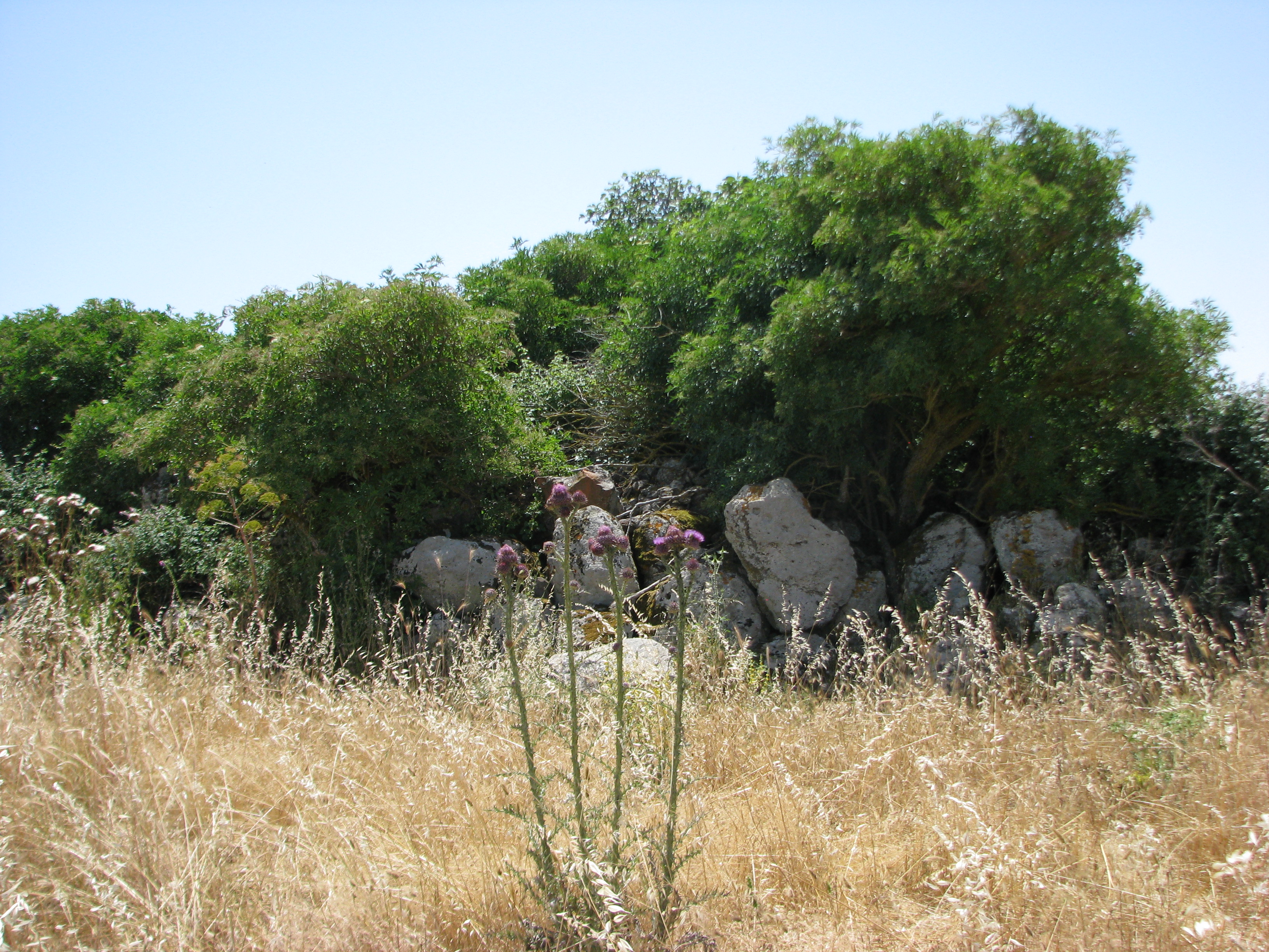 Nuraghe Arculentu