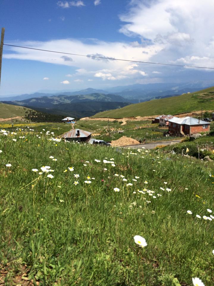 Samar Bagh valley
