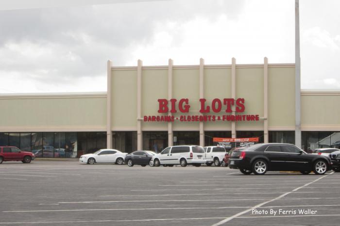 Big Lots - Plant City - Plant City, Florida