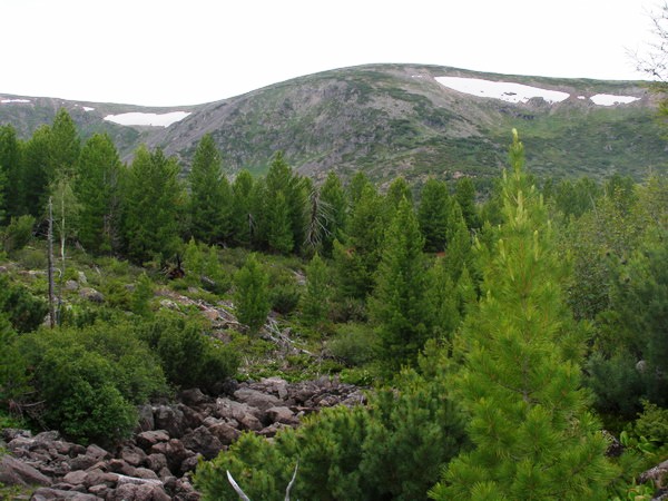 Sokhondinsky State Biosphere Reserve (Zapovednik)