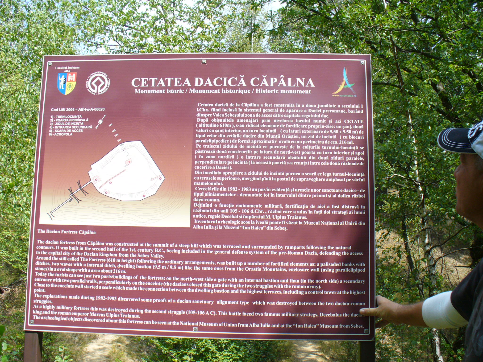 Cetatea dacică de la Căpâlna