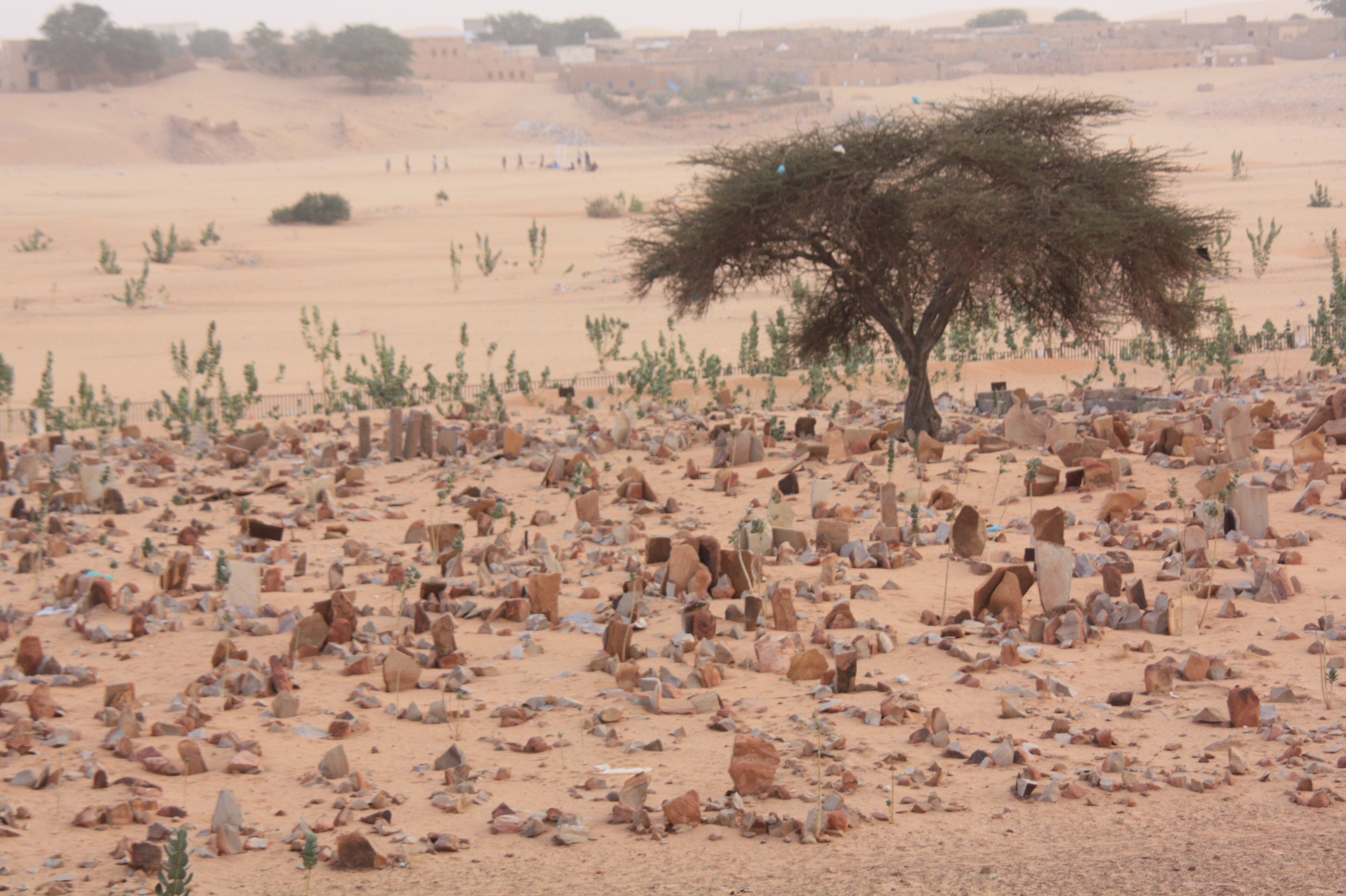 Cemetery Chinguetti - Chinguetti شنقيط